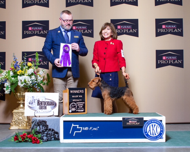2024 March Specialty – Louisville – Welsh Terrier Club of Northern Illinois