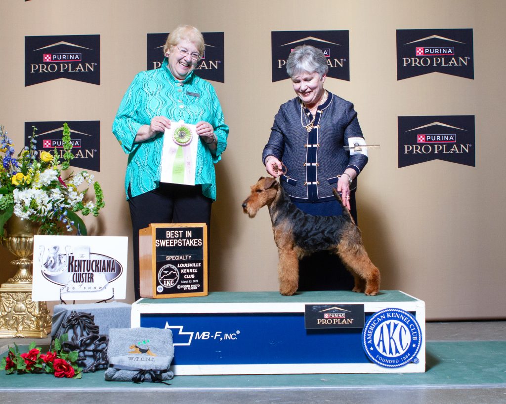 2024 March Specialty – Louisville – Welsh Terrier Club of Northern Illinois