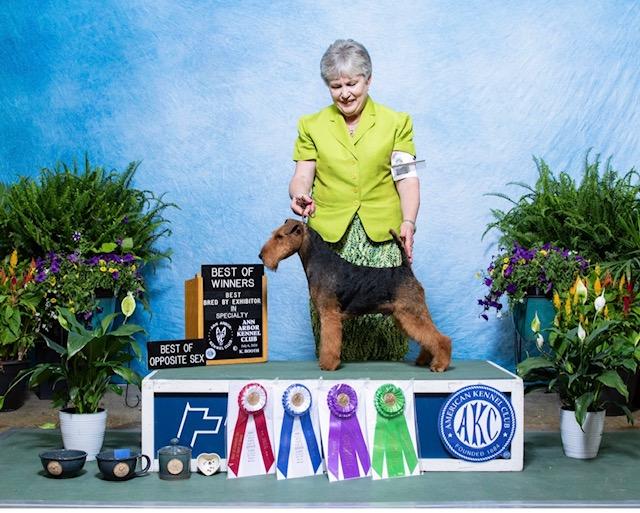 2024 July Specialty – Ann Arbor KC – Welsh Terrier Club of Northern ...