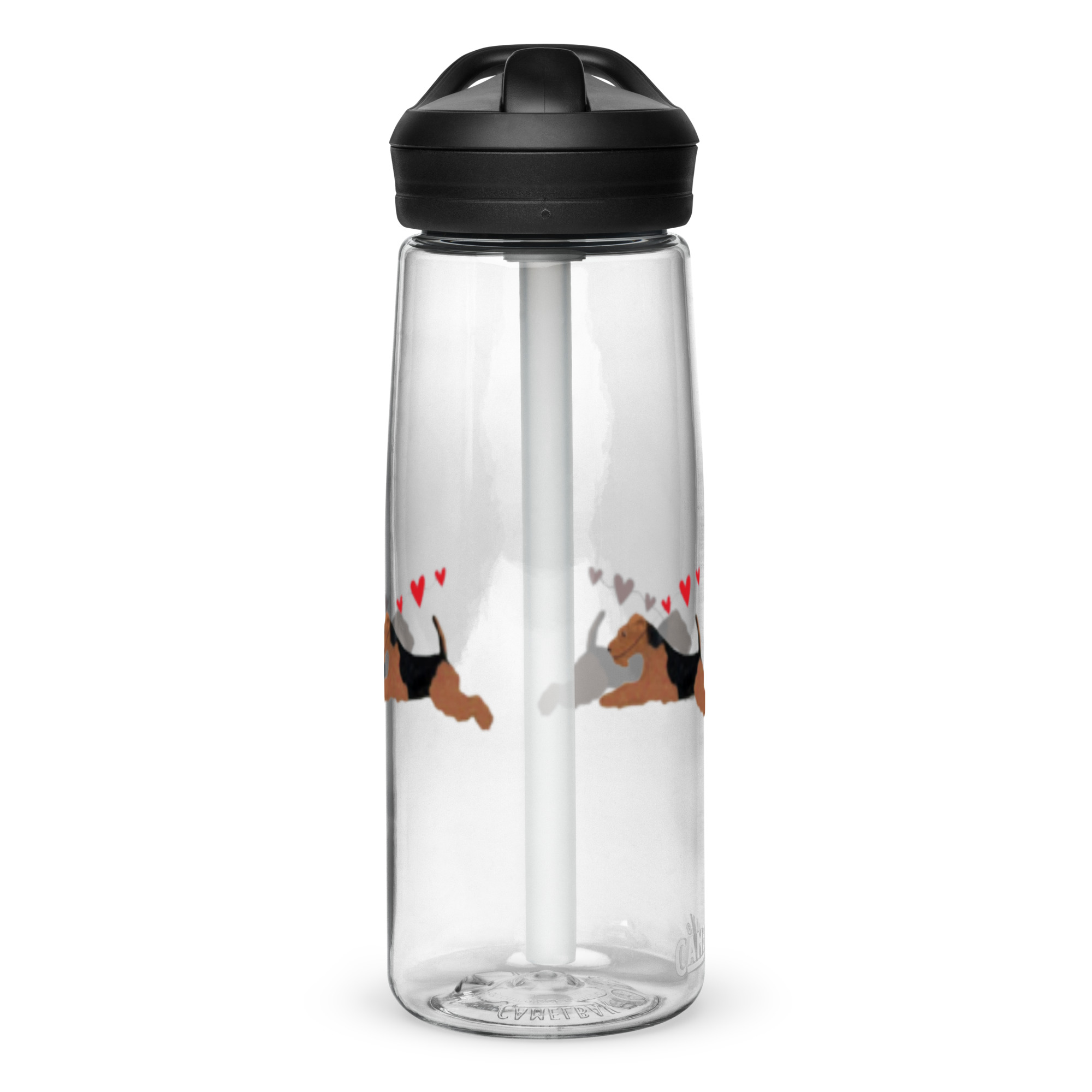 Water bottle – Welsh Terrier Club of Northern Illinois