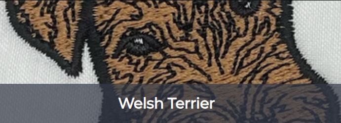 Welsh Wear Sportswear – Welshie Head – Welsh Terrier Club of Northern ...